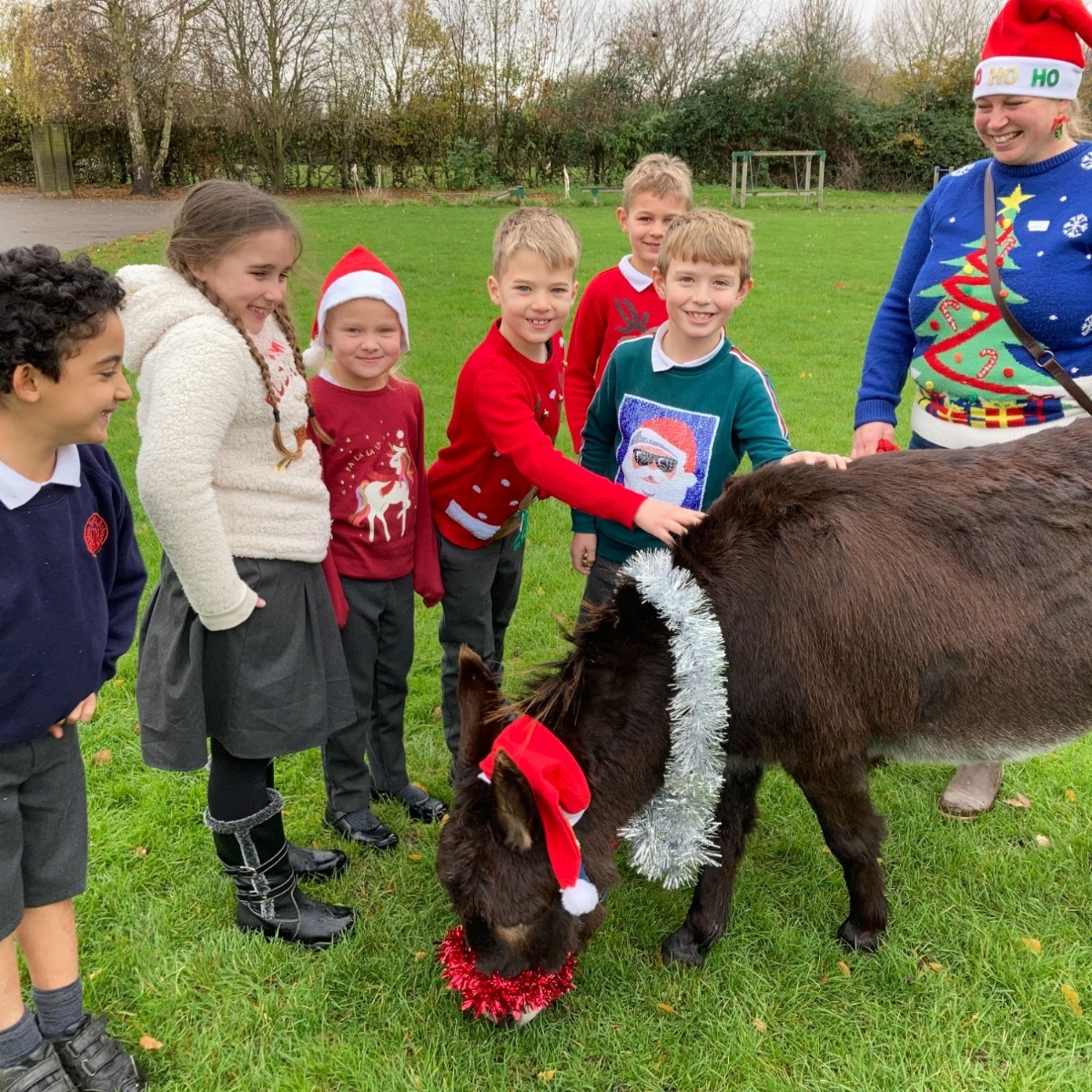Weston Turville Church of England School - The day the donkeys came to ...